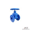 WATTS Gate Valve Resilient Seated E3243
