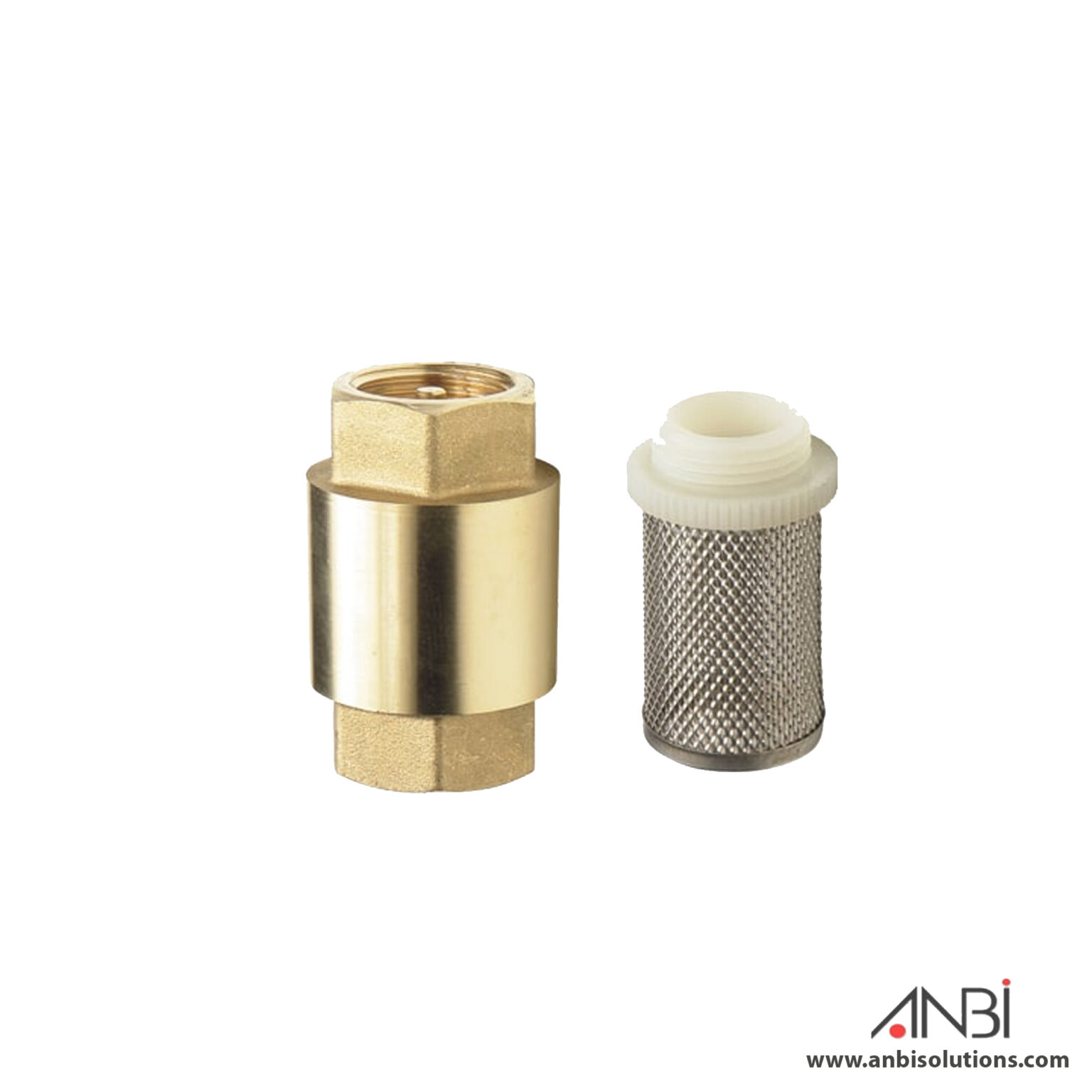 VIR Brass Spring Loaded Check Valve 765