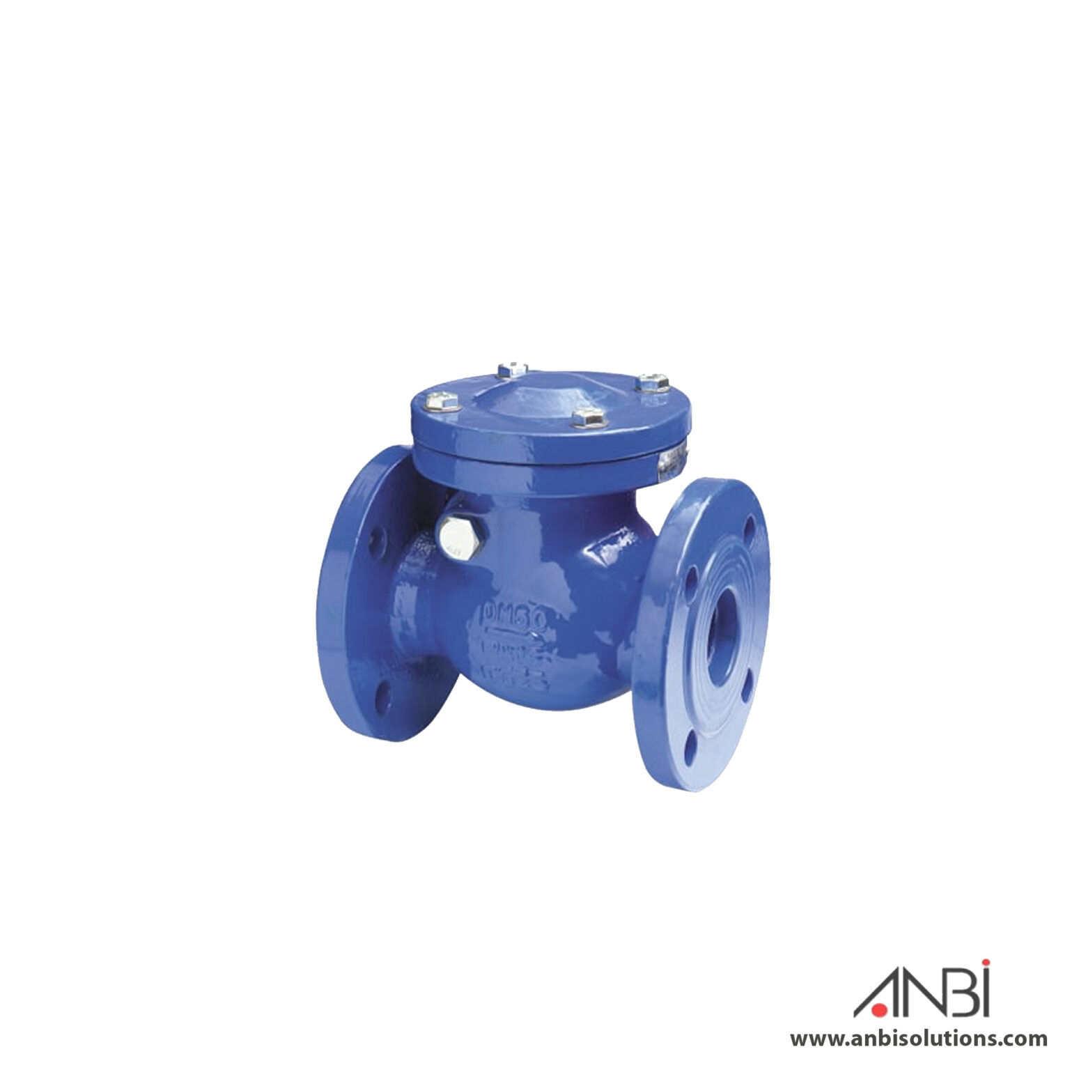 VIR Cast Iron Swing Check Valve PN16 890 - ANBI Online